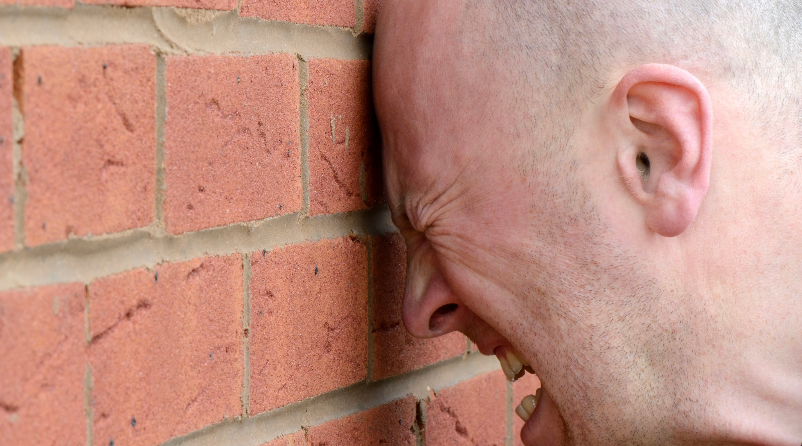 Stop the Insanity! - YourSource News
