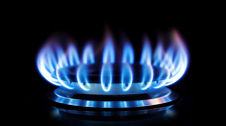 Appliance Group Fights Nation’s First Gas Range Labeling Law ...